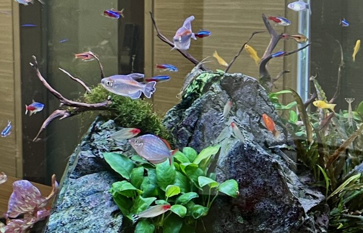 2023 - Tech-Pot｜溝の口のコワーキングスペース＆シェアオフィス